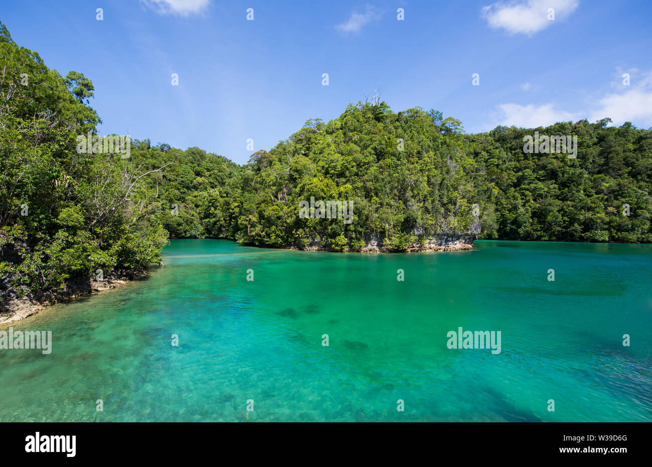 Famouse wooden piere and spring board at Sugba lagoon. Beautiful ...