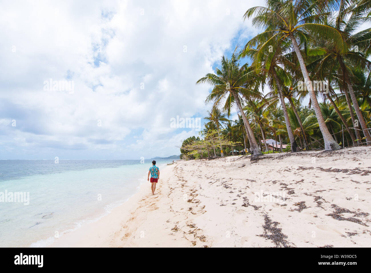 Man wearing swimwear and tropical shirt on a beautiful sandy tropical ...