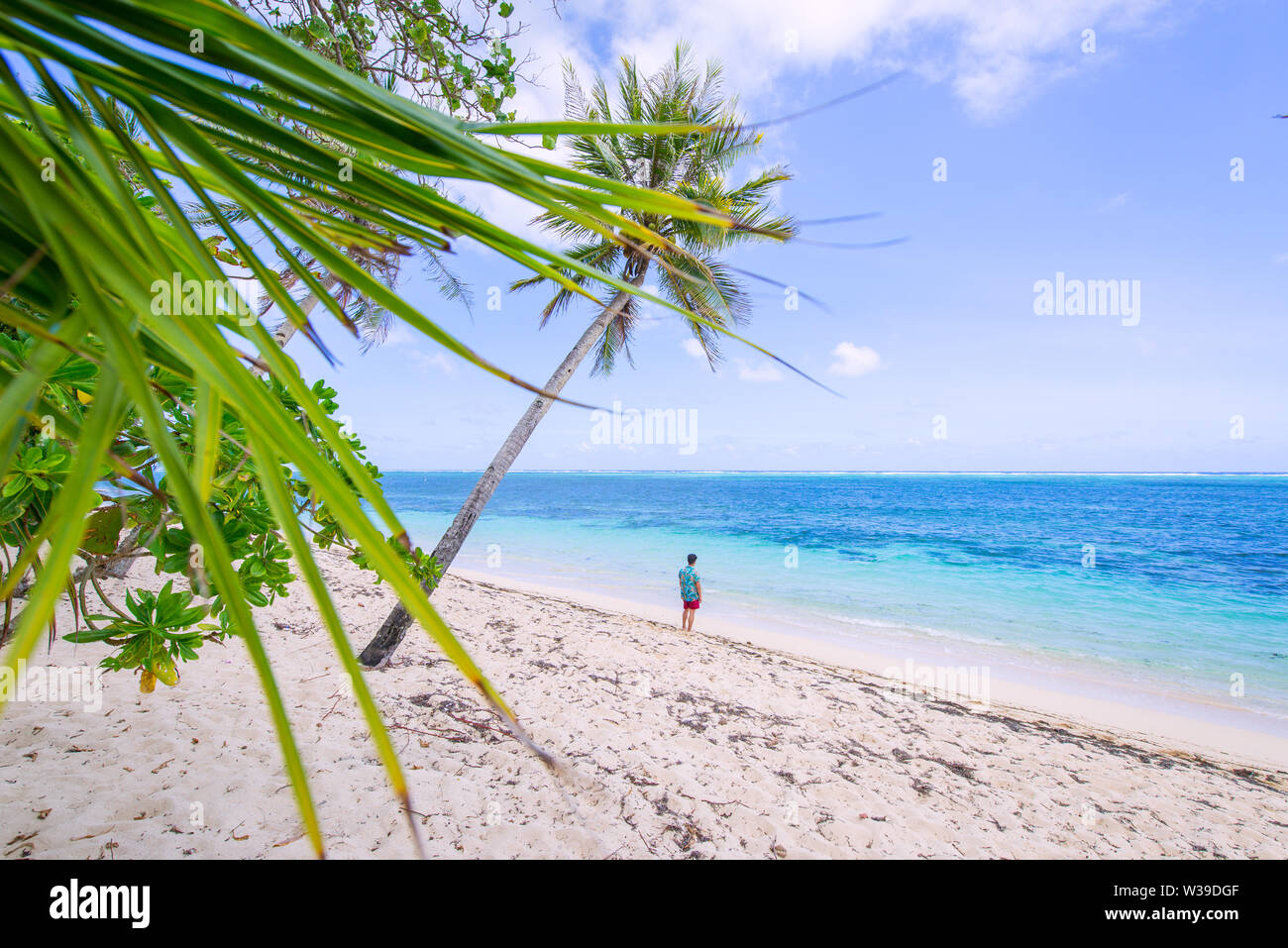 Man wearing swimwear and tropical shirt on a beautiful sandy tropical ...