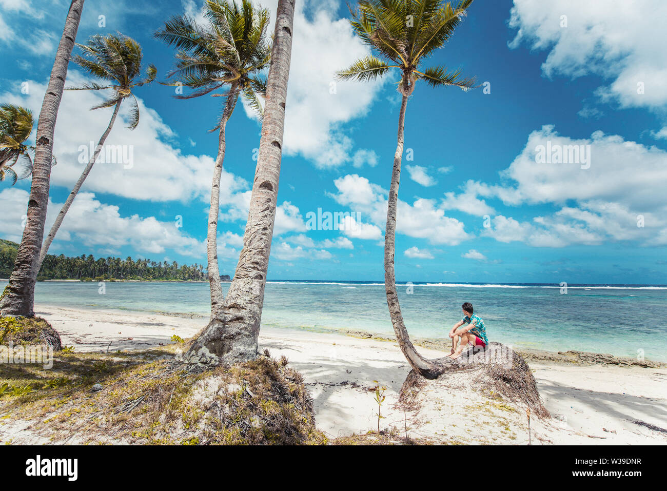 Man wearing swimwear and tropical shirt on a beautiful sandy tropical ...