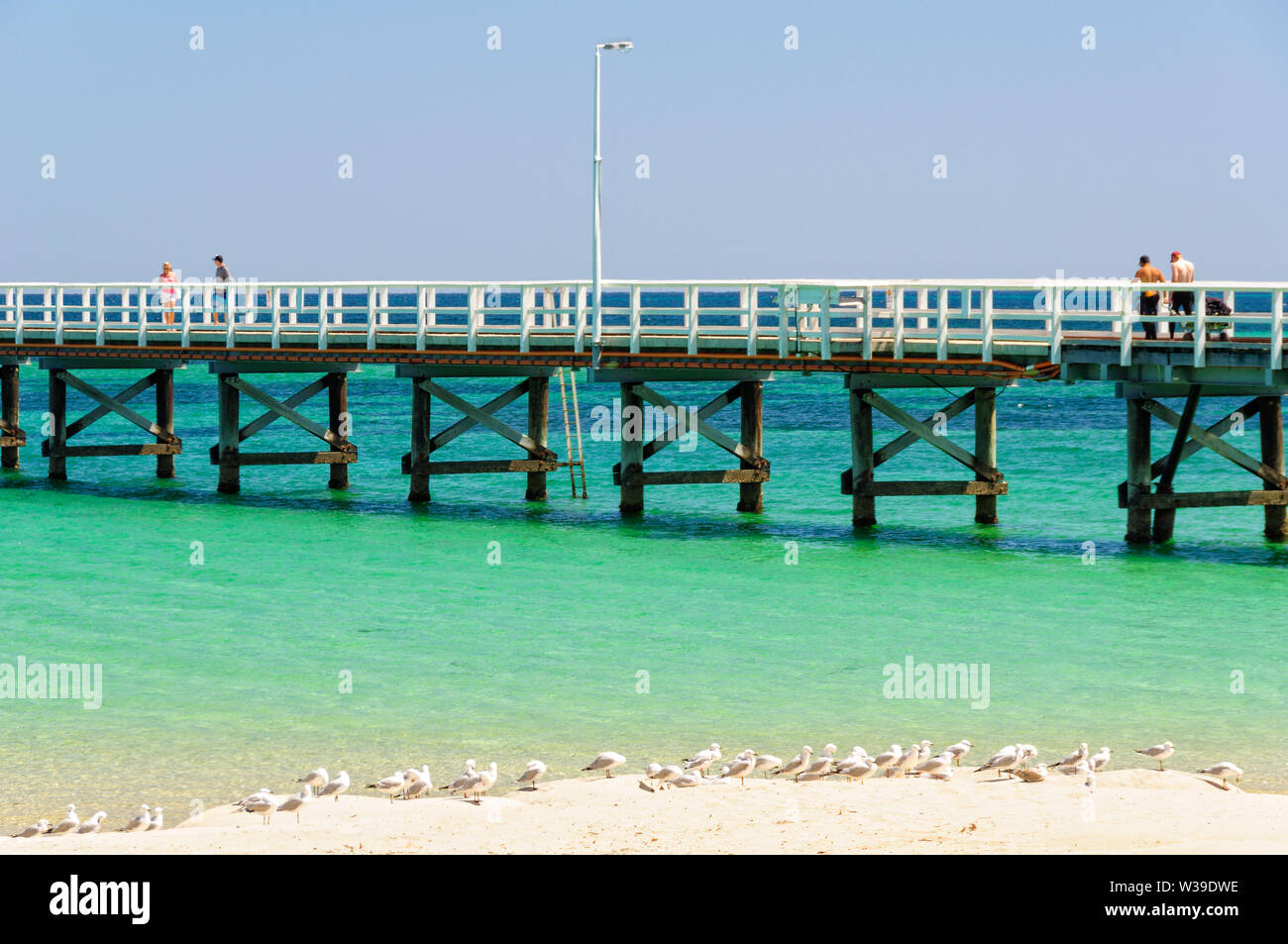 The iconic Busselton Jetty is the second longest wooden jetty in the ...