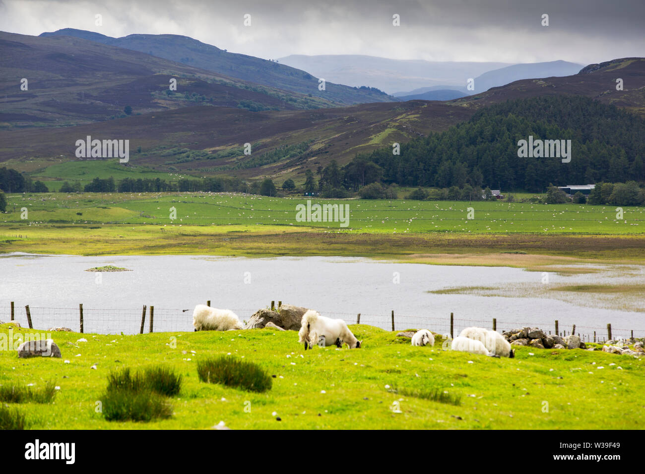 Loch Ruthven above Loch Ness, Invernesshire, Scotland, UK Stock Photo ...