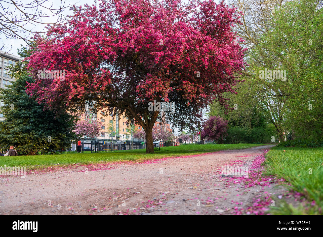 Manchester, United Kingdom - April 22, 2019: Scenic Springtime View of ...