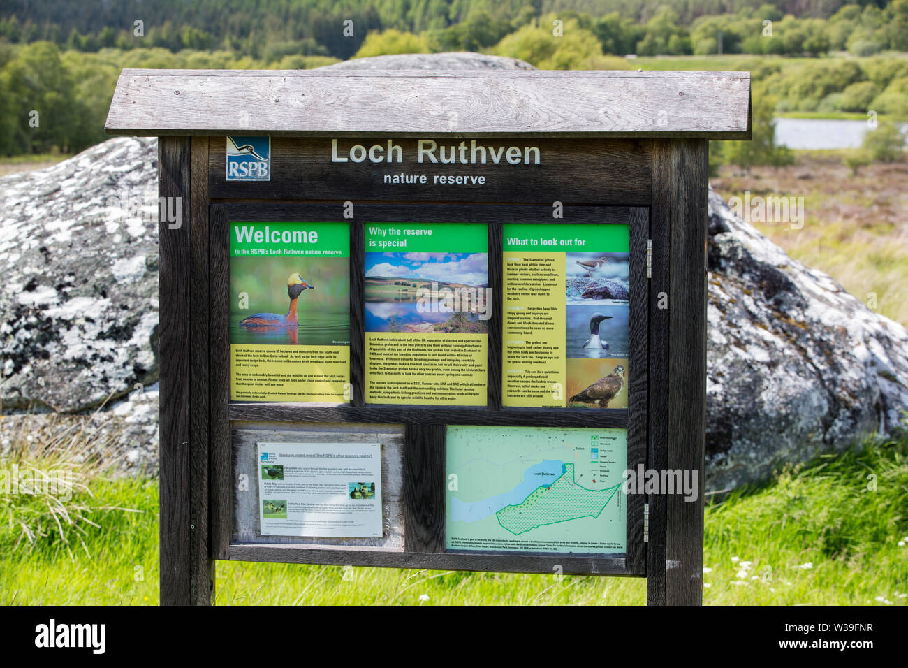 Loch Ruthven RSPB reserve, home to the UK's largest population of ...