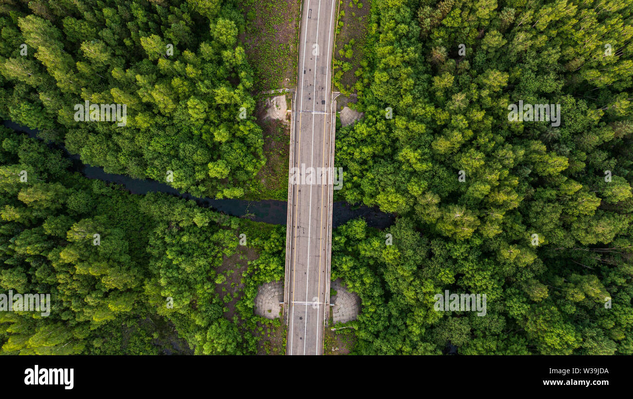 Top view of the dirt road and green spring forests in bright sunset ...