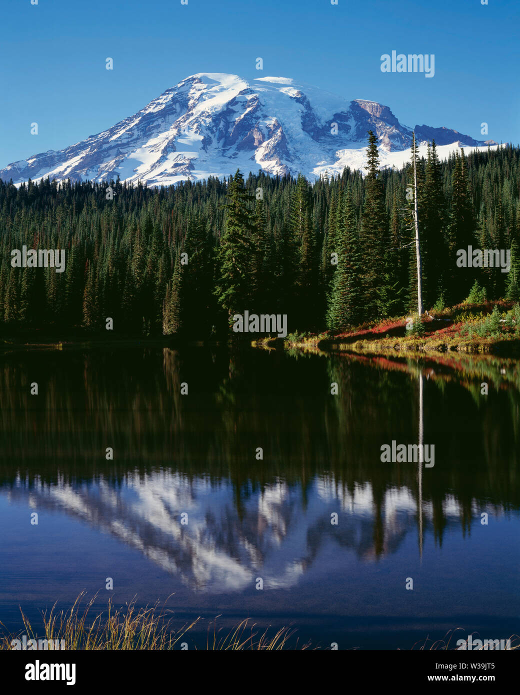 USA, Washington, Mt. Rainier National Park, Mt. Rainier with fresh ...