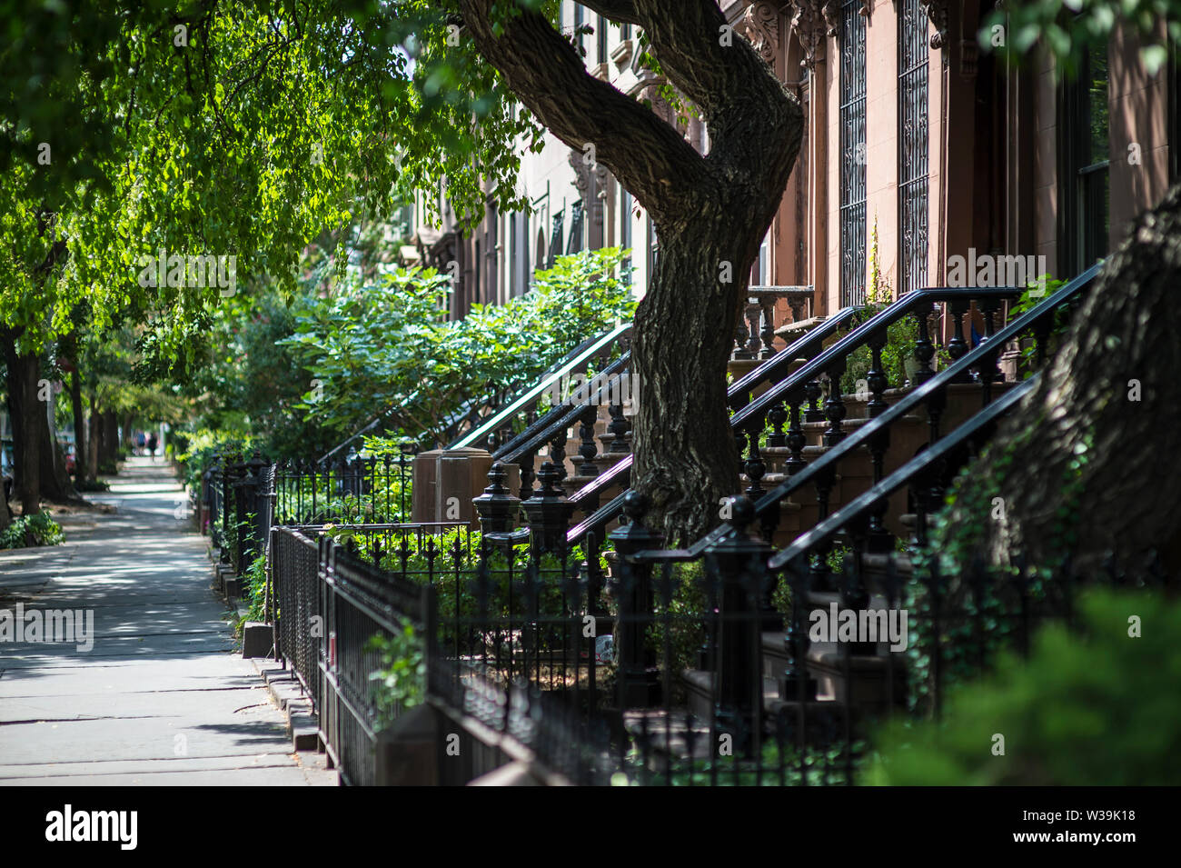 Scenic view of a classic Brooklyn brownstone block with a summer ...