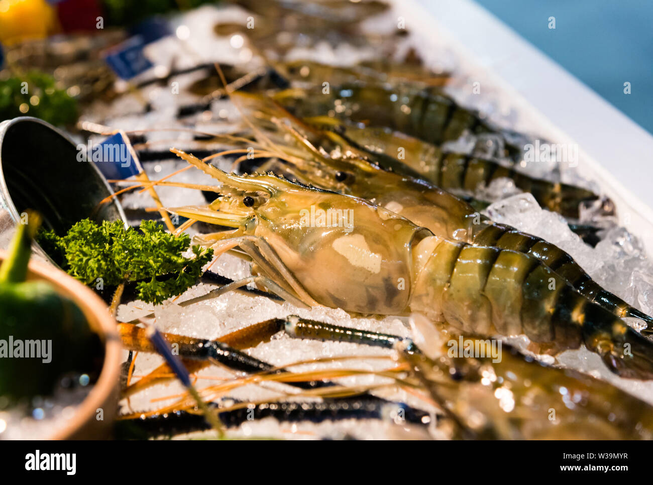 Fresh prawns on ice in seafood market Stock Photo - Alamy