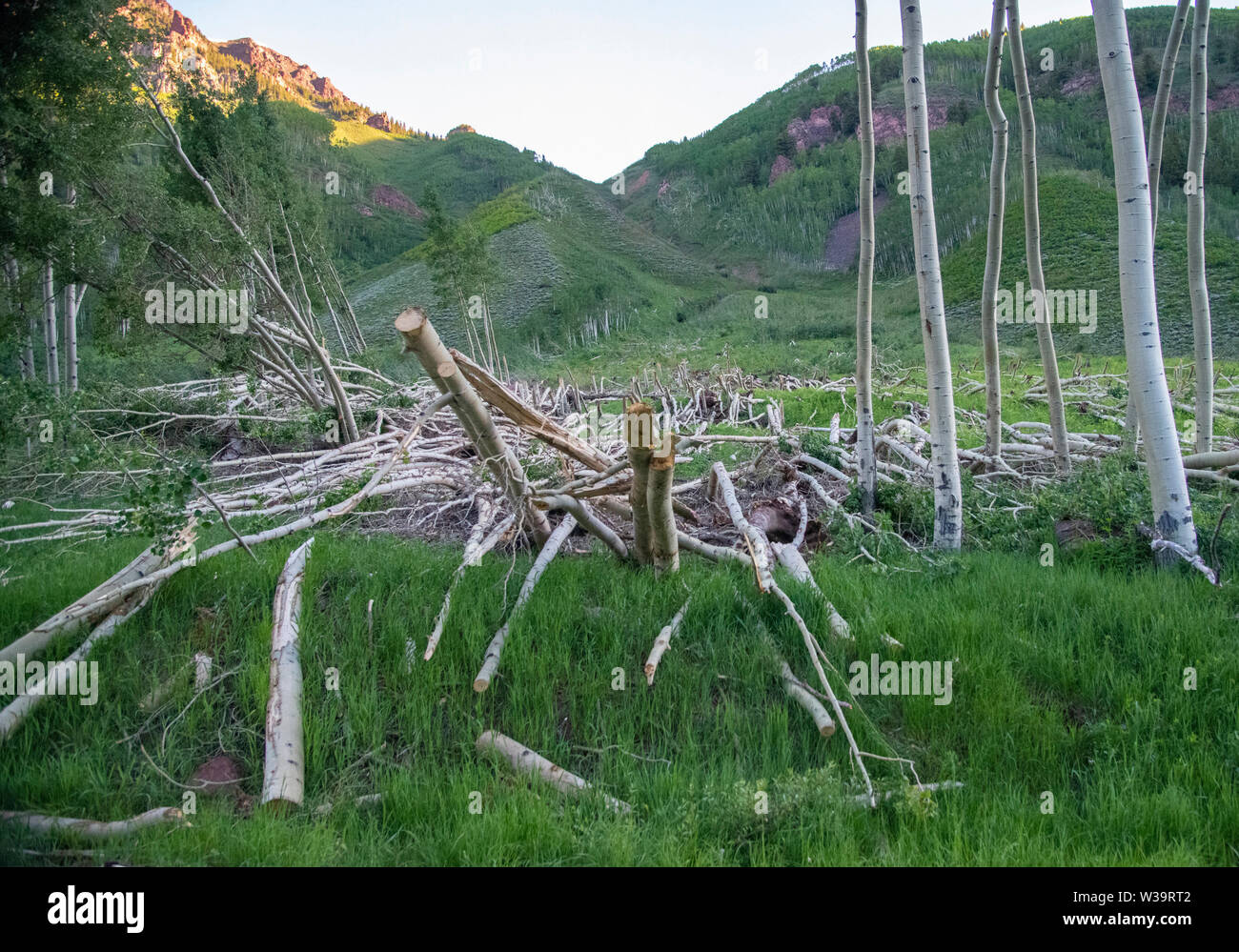 July 05, 2019: The state of Colorado had a record year for avalanches ...