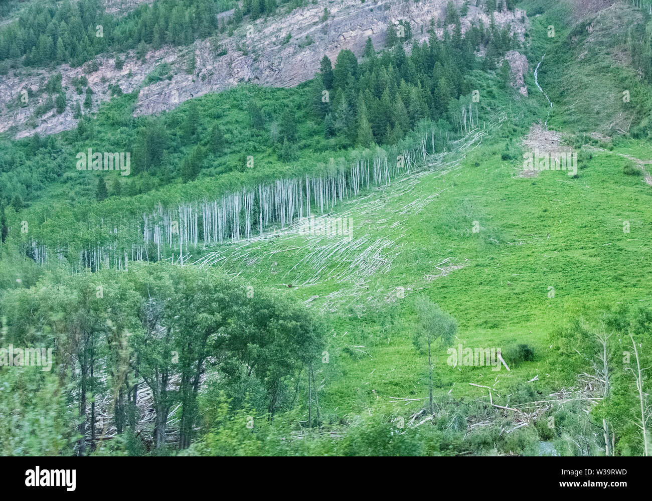 July 05, 2019: The state of Colorado had a record year for avalanches ...