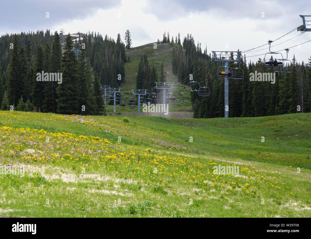 2019 600 jpg hi-res stock photography and images - Alamy