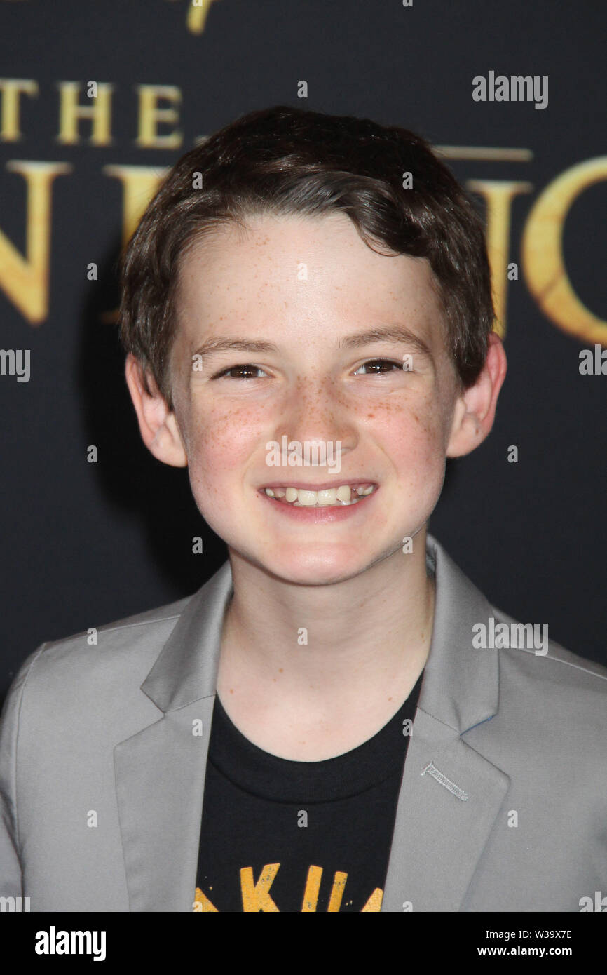 Los Angeles, USA. 09th July, 2019. Jason Maybaum 07/09/2019 “The Lion ...