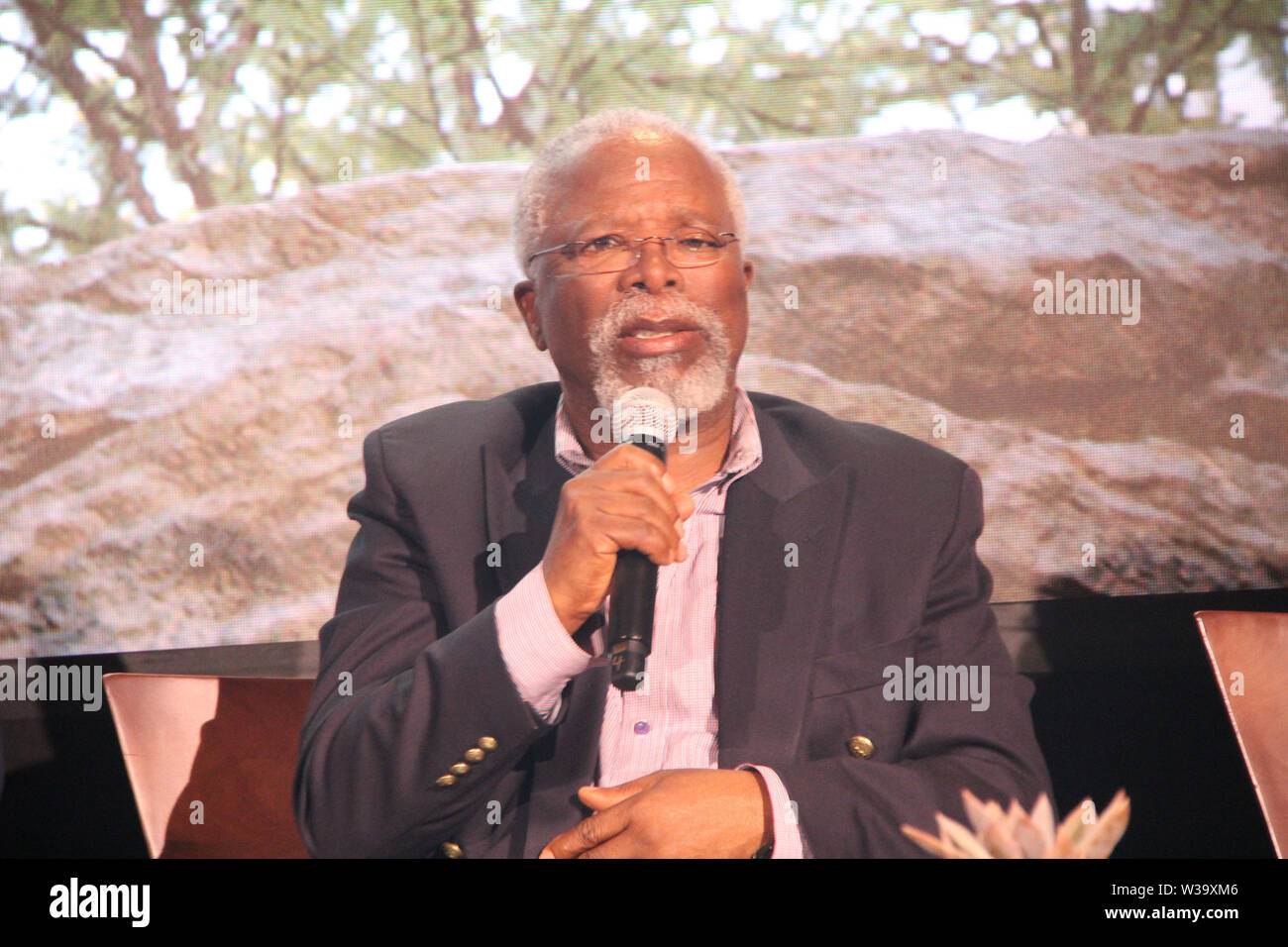 John kani, lion king hi-res stock photography and images - Alamy