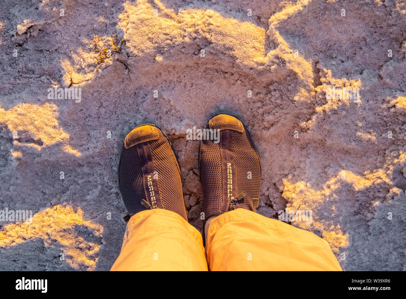 White salt crusts on mud at the shore of the large, arid-zone Kati ...