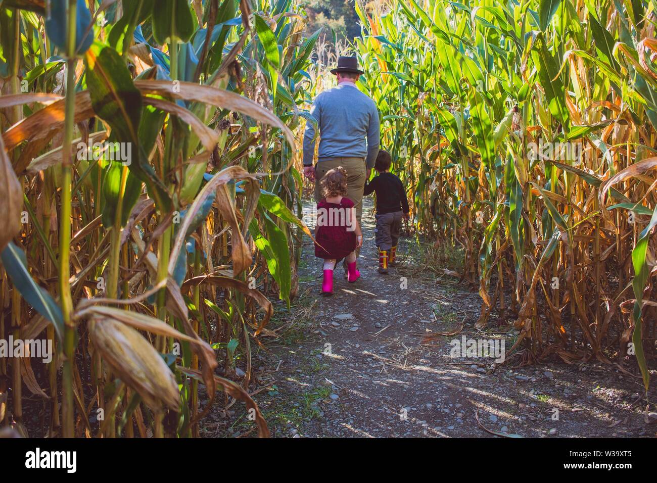 Girl walking with a cane hi-res stock photography and images - Alamy