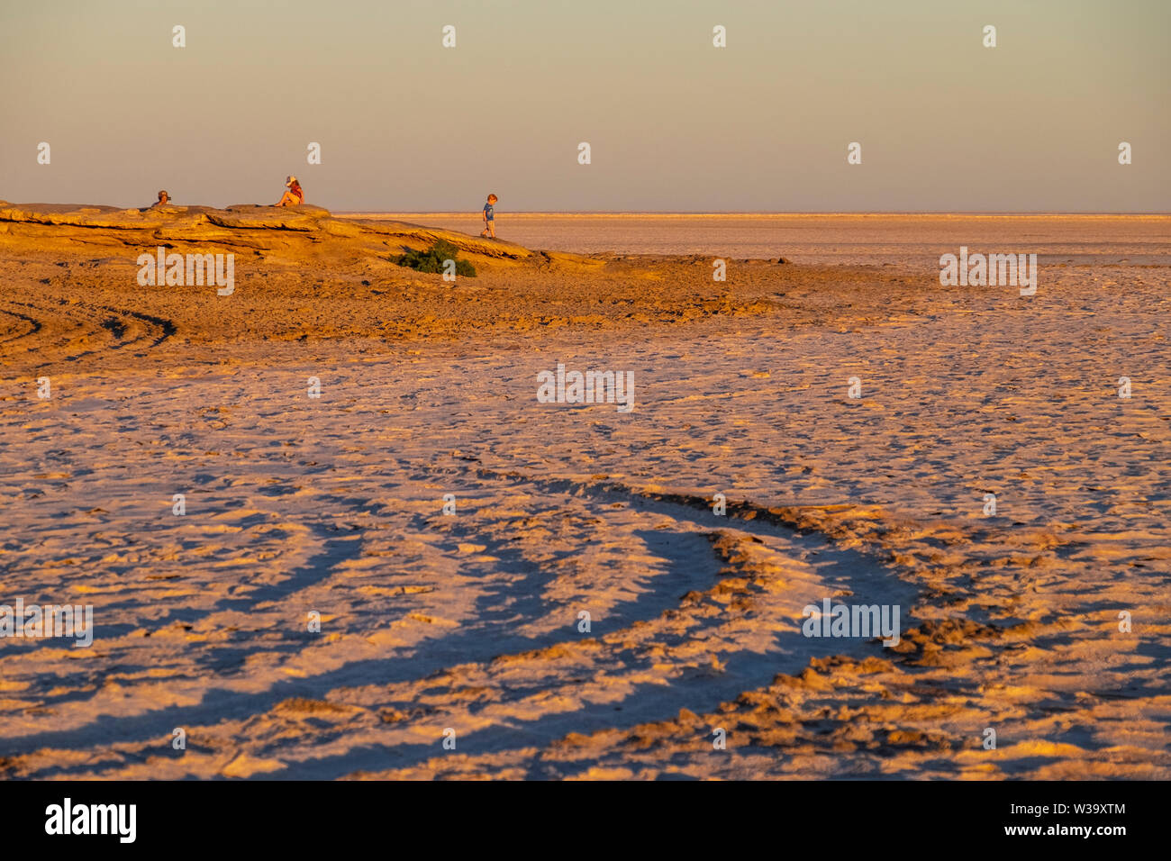 White salt crusts on mud at the shore of the large, arid-zone Kati ...