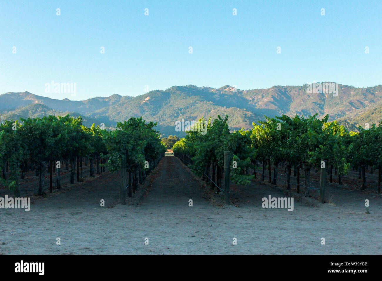 Napa Valley in Northern California, USA Stock Photo - Alamy