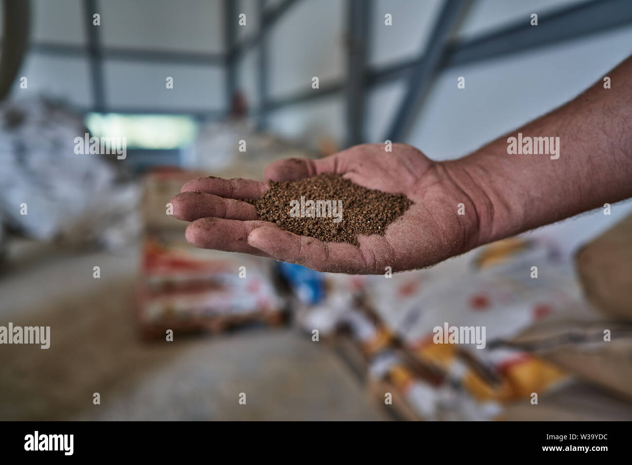 compound feed in a man's hand Stock Photo - Alamy