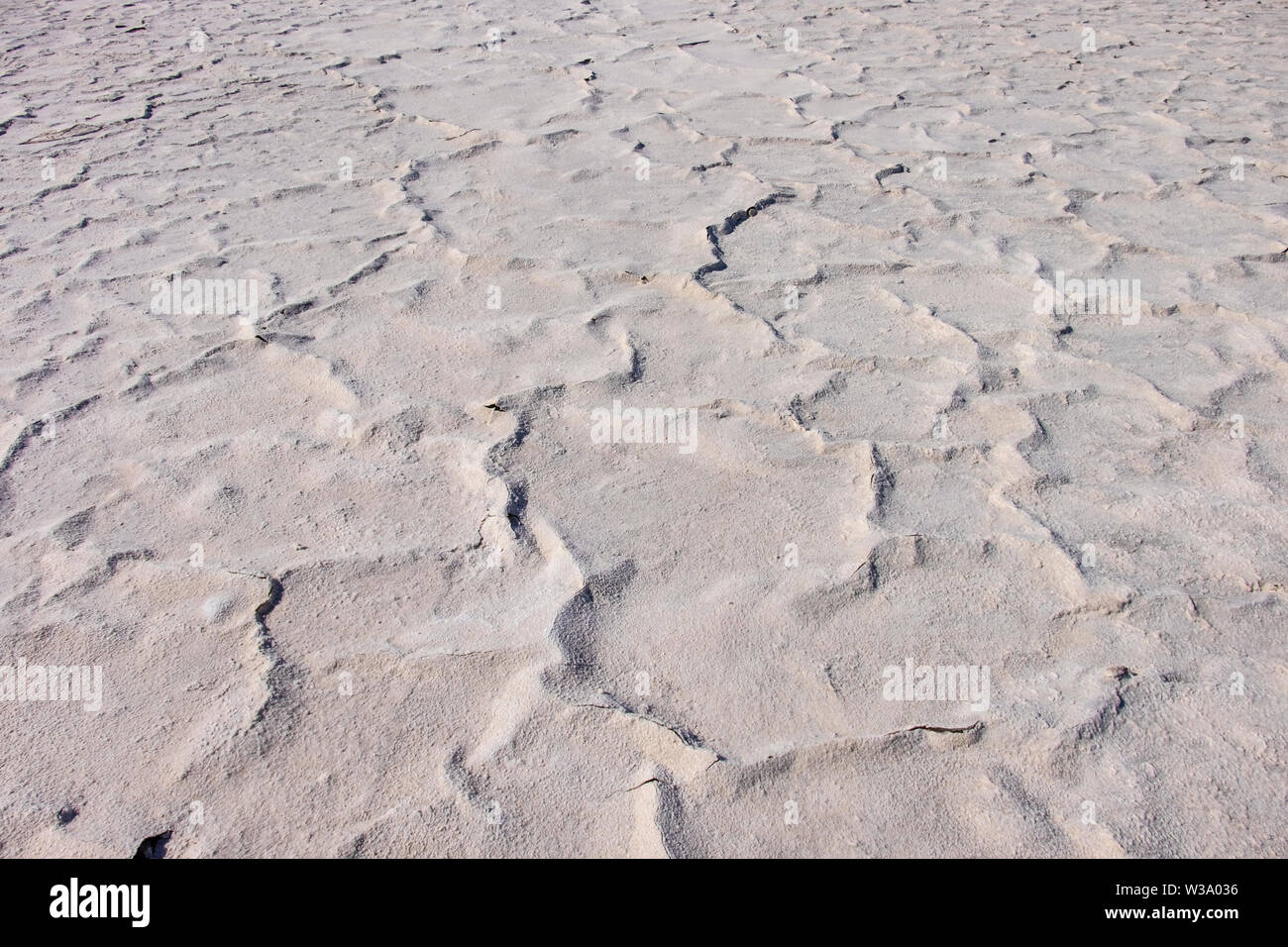 White salt crusts on mud at the shore of the large, arid-zone Kati ...