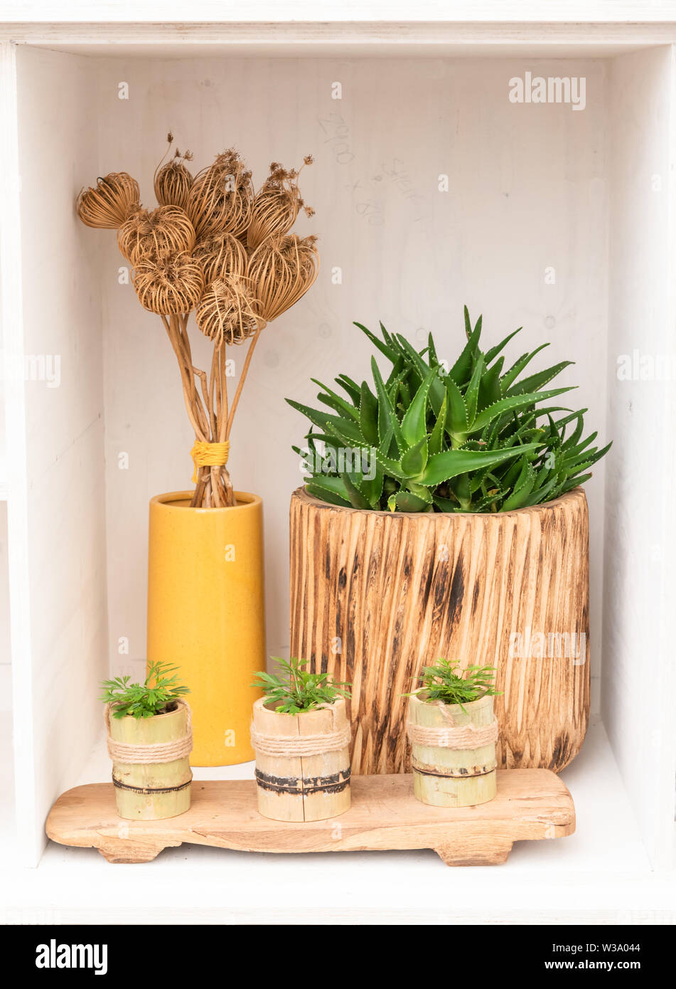 Green pot plant display Stock Photo - Alamy