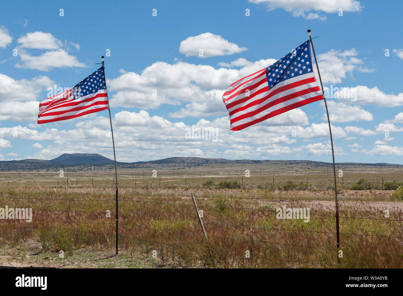 United States flags in the desert of Arizona, patriotic symbol of ...