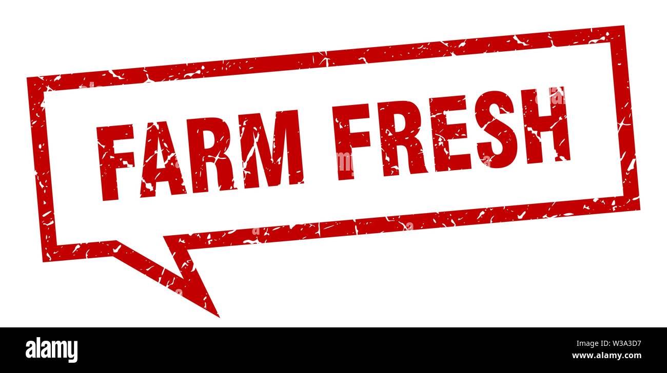 farm fresh sign. farm fresh square speech bubble. farm fresh Stock ...