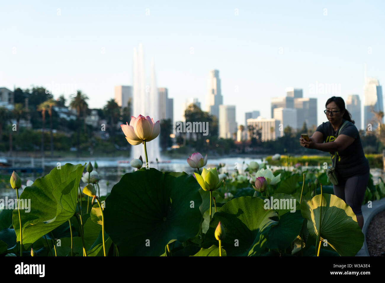 Los Angeles, USA. 13th July, 2019. A woman takes photos of lotus ...