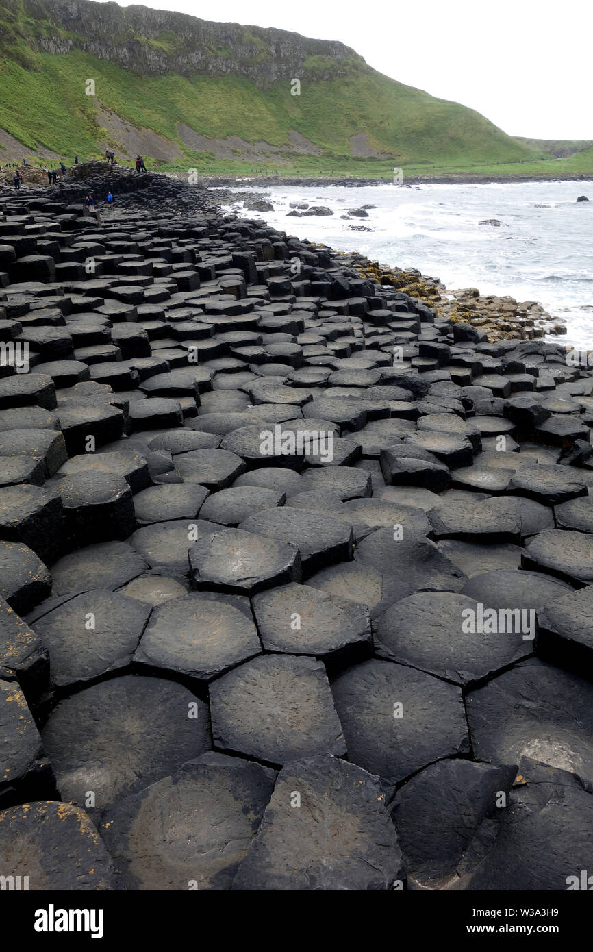 Visitors on the Top of Black Hexagonal Interlocking Basalt Columns on ...