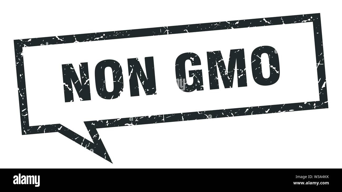 non gmo sign. non gmo square speech bubble. non gmo Stock Vector Image ...