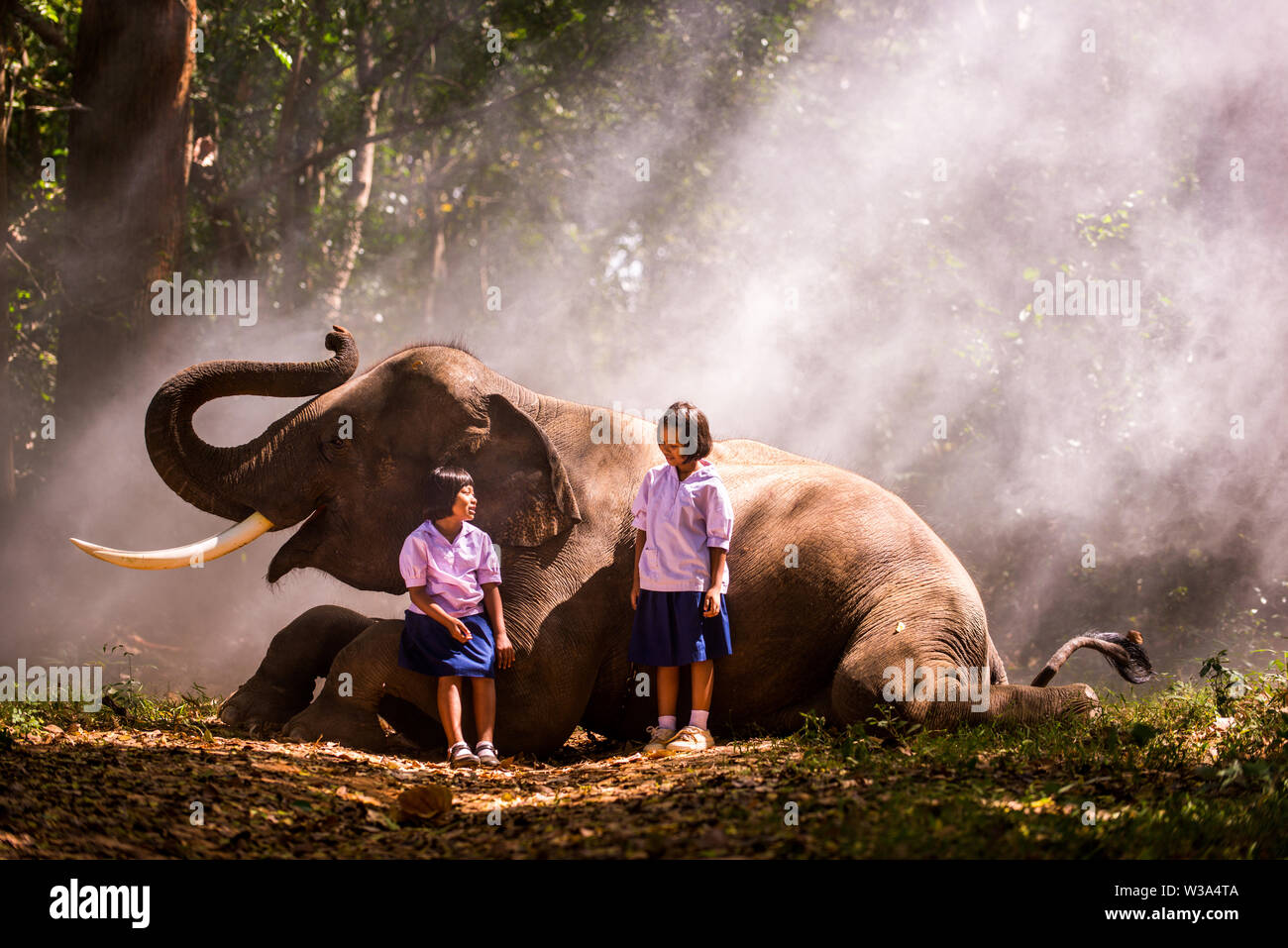Elephant and school kid in asian jungle in Thailand - Thai elephant in ...