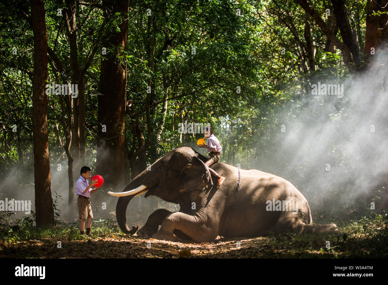 Elephant and school kid in asian jungle in Thailand - Thai elephant in ...