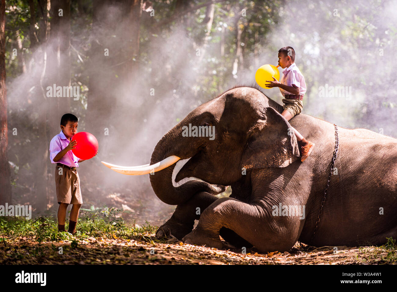 Elephant and school kid in asian jungle in Thailand - Thai elephant in ...