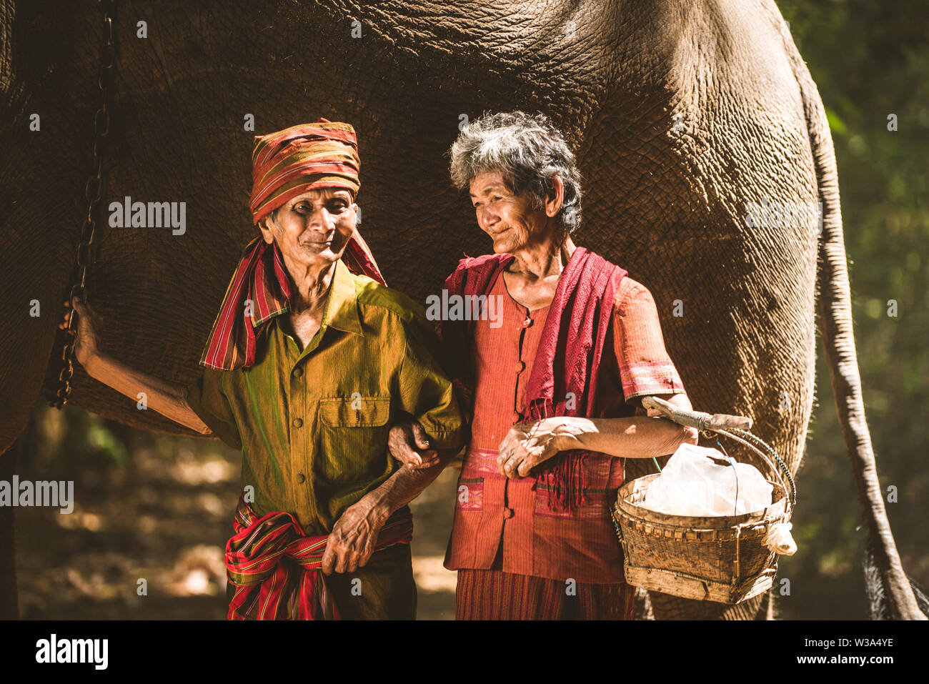 Elephant and farmers in asian countryside in Thailand - Thai elephant ...