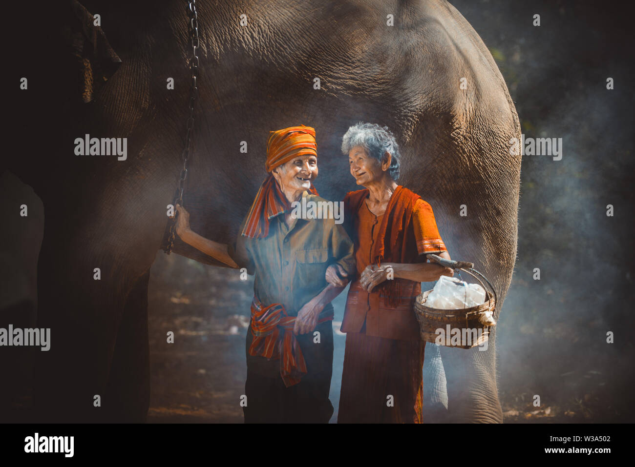 Elephant and farmers in asian countryside in Thailand - Thai elephant ...