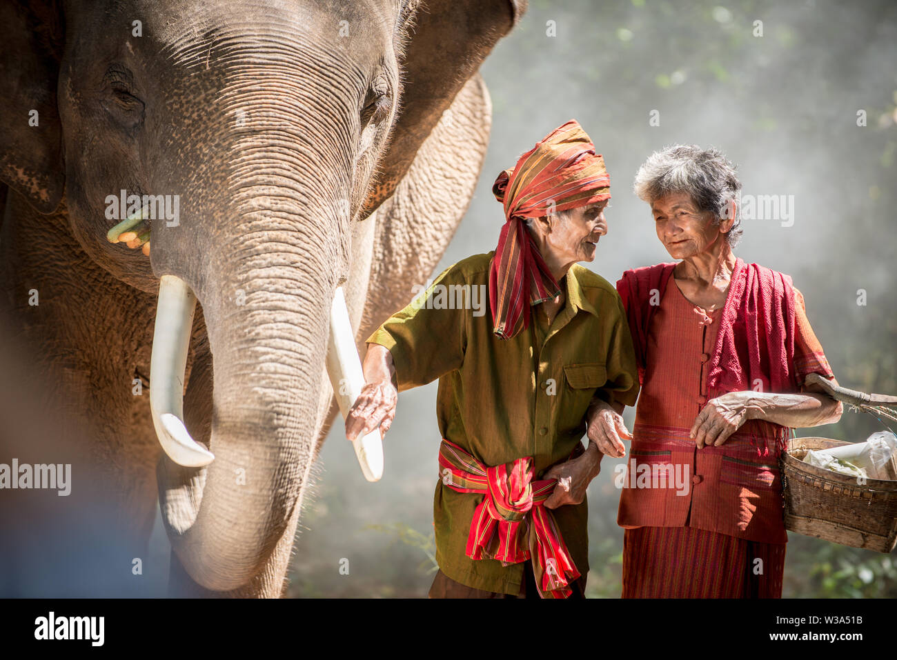 Elephant and farmers in asian countryside in Thailand - Thai elephant ...