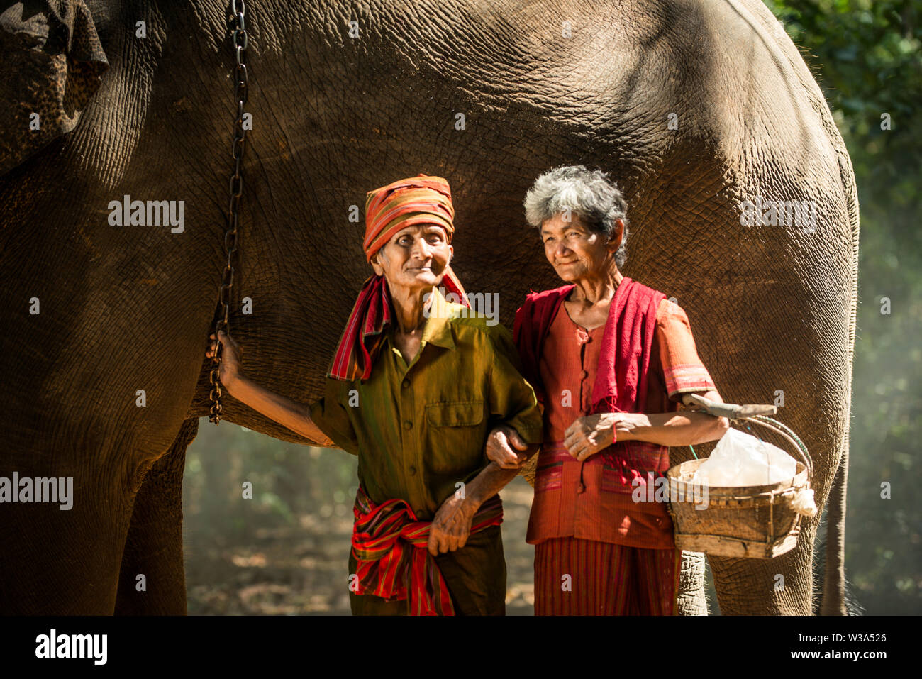 Elephant and farmers in asian countryside in Thailand - Thai elephant ...