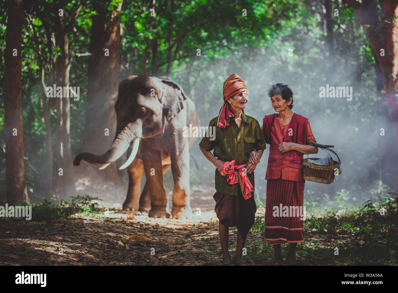 Elephant and farmers in asian countryside in Thailand - Thai elephant ...