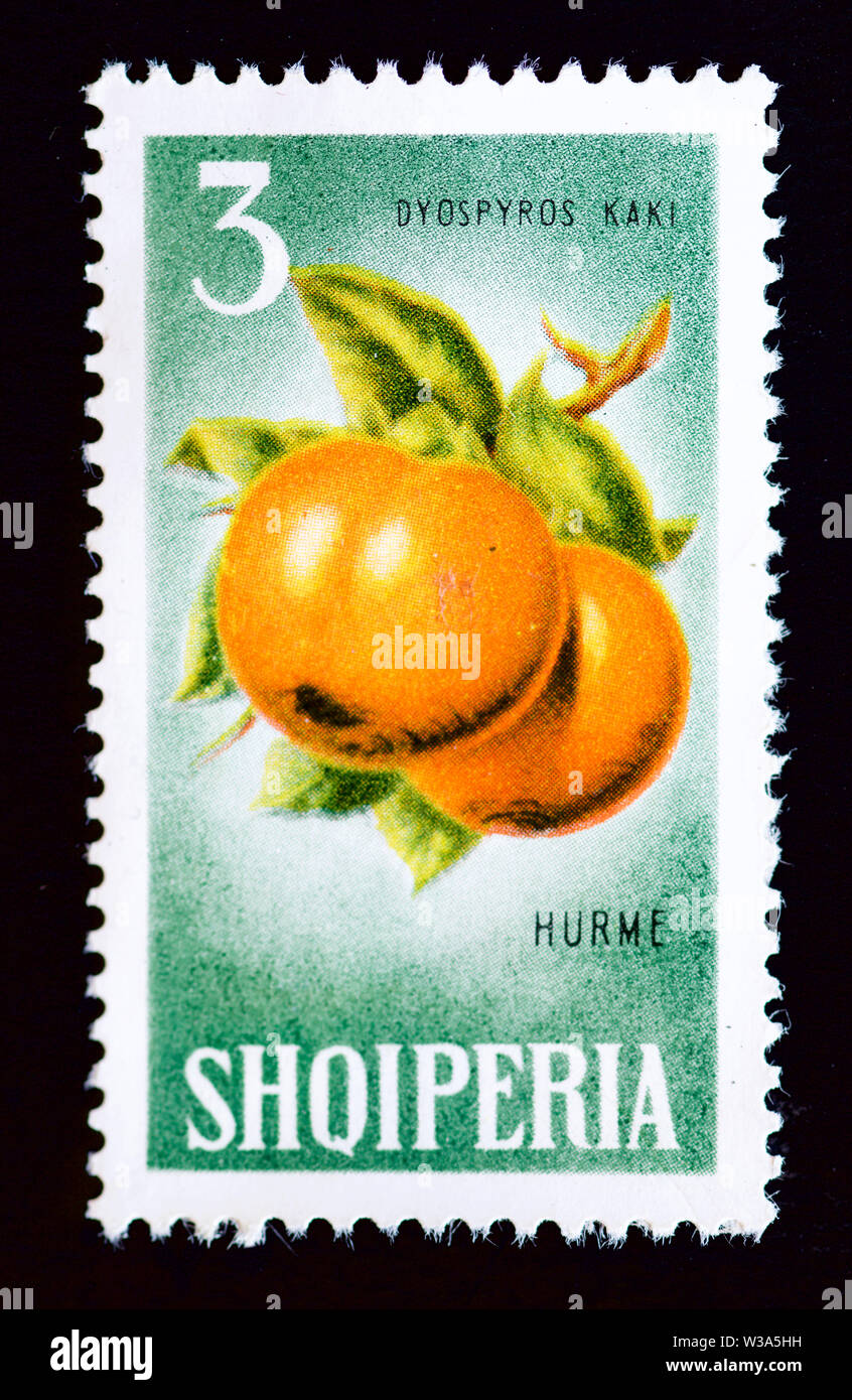 Albania postage stamp - 1965 Stock Photo - Alamy