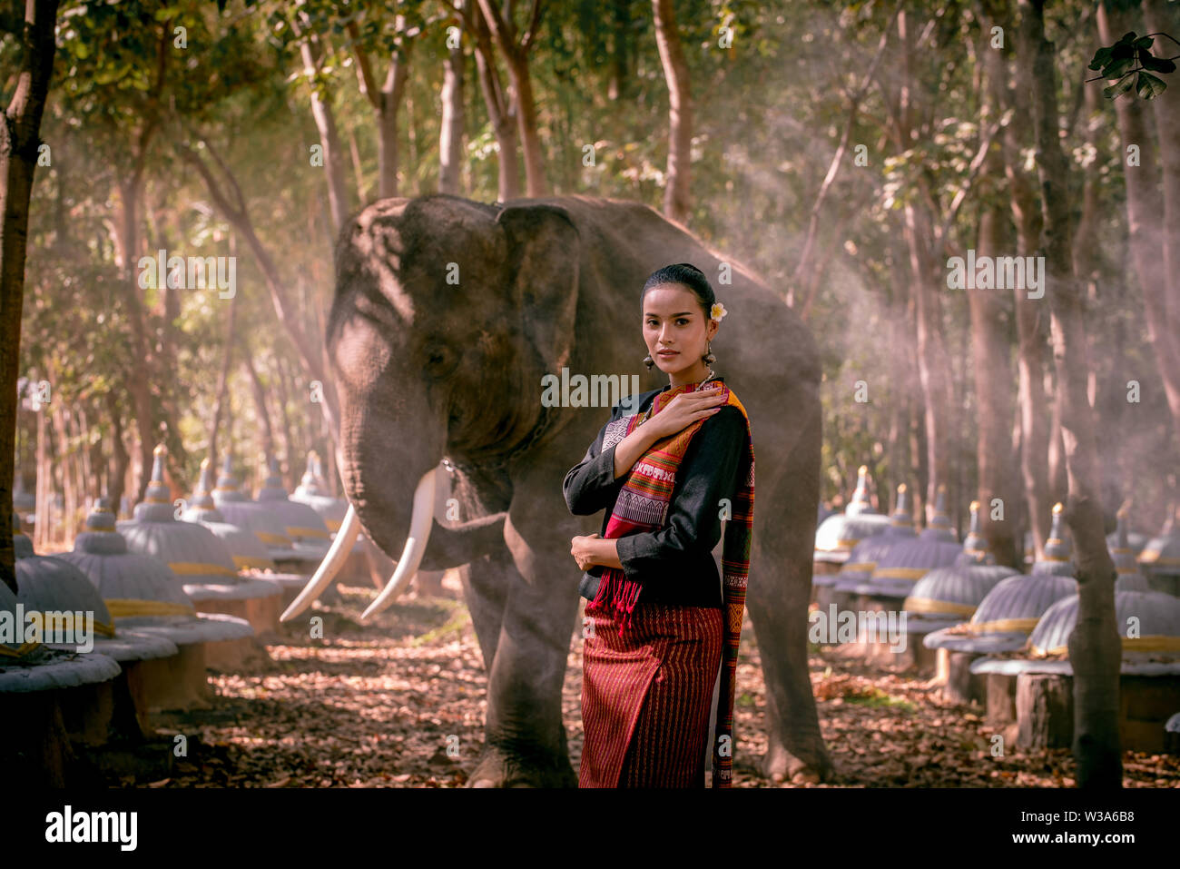 Elephant with beautiful girl in asian countryside, Thailand - Thai elephant and pretty woman ...