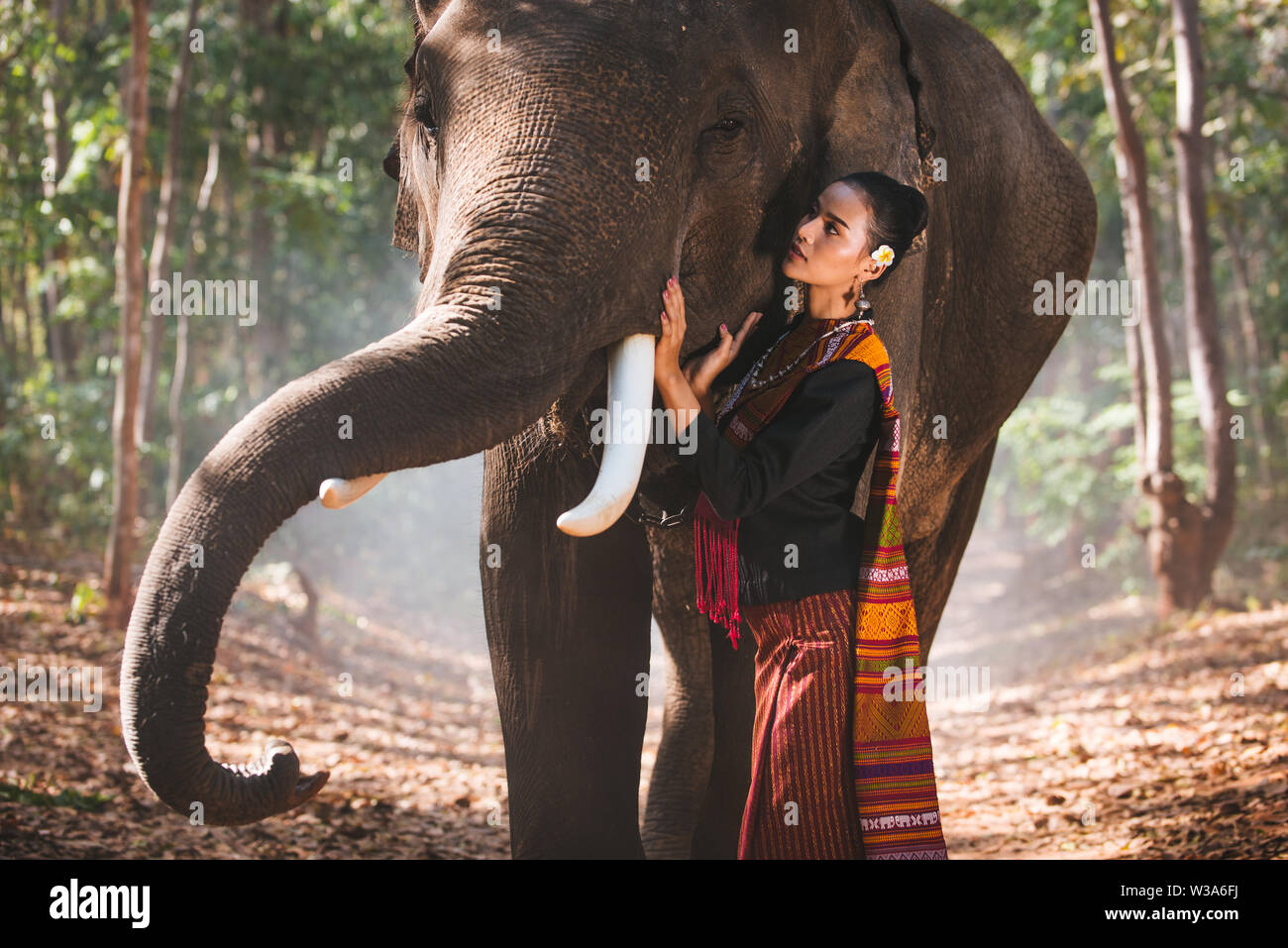 Elephant with beautiful girl in asian countryside, Thailand - Thai elephant and pretty woman ...