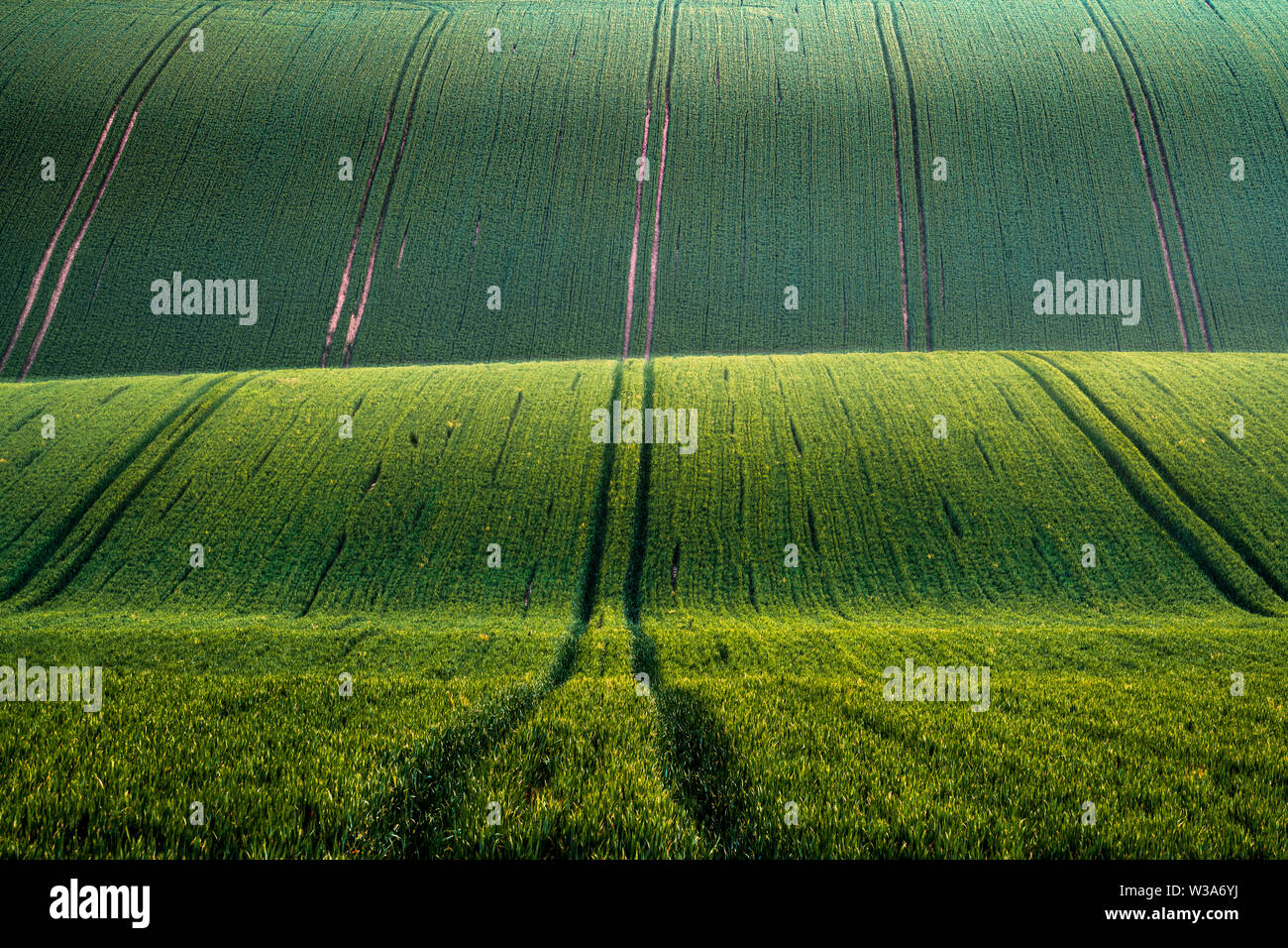 Crop lines hi-res stock photography and images - Alamy