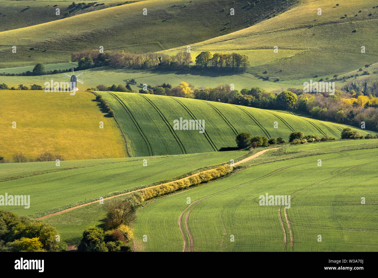 Ashdown park hi-res stock photography and images - Alamy