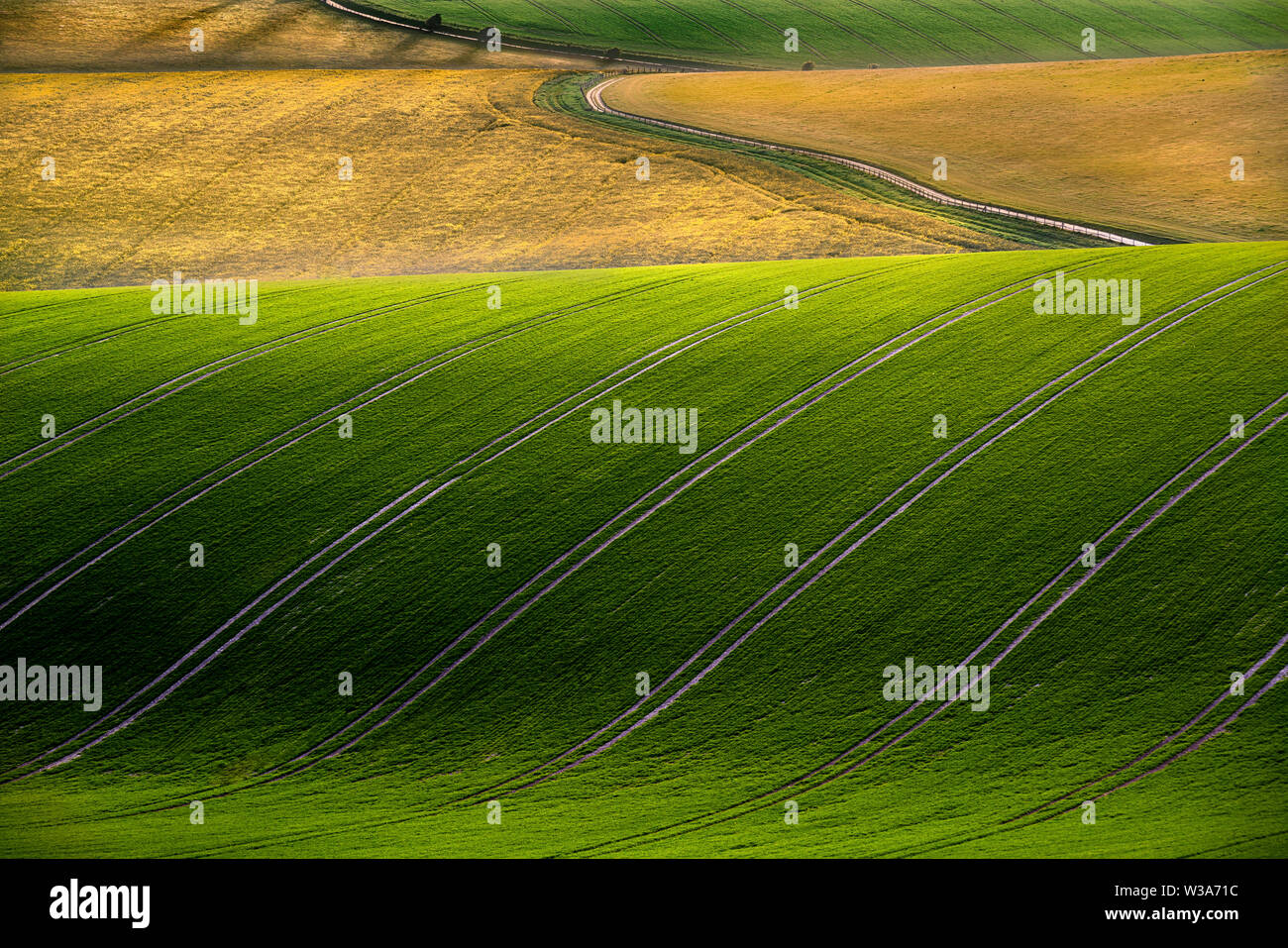 Crop lines hi-res stock photography and images - Alamy