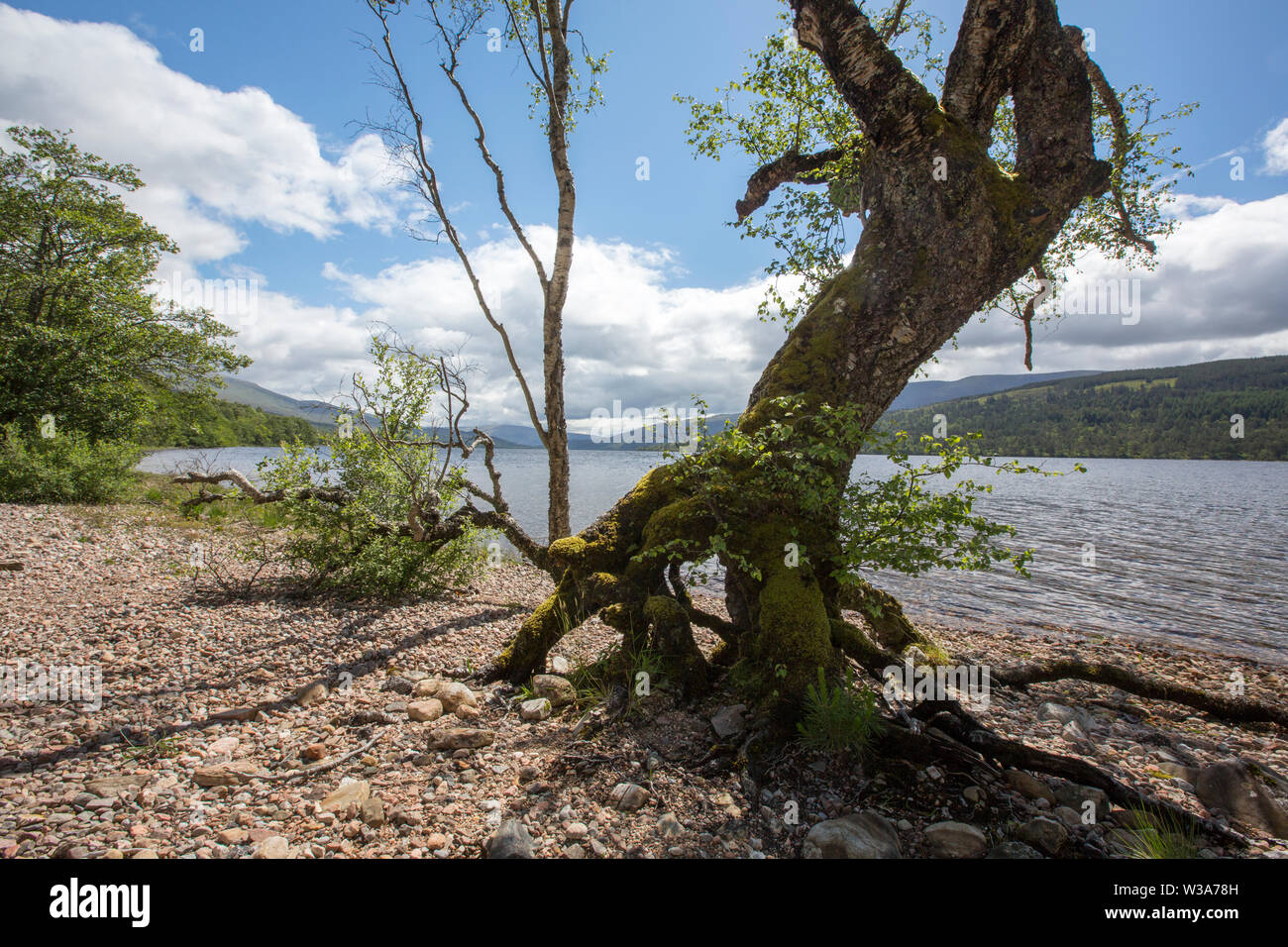 Loch arkaig hi-res stock photography and images - Alamy