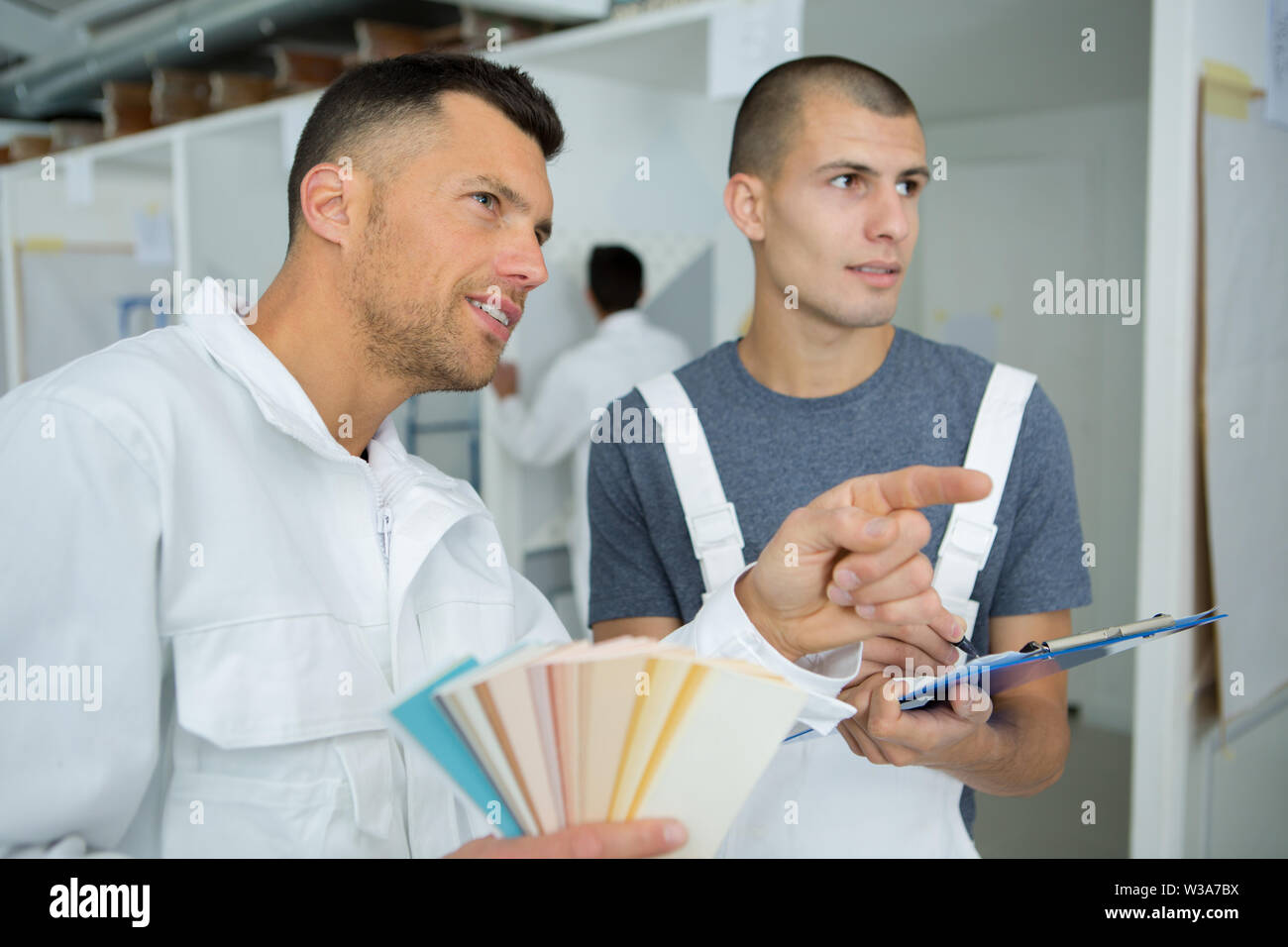 two male decorators with colour samples Stock Photo - Alamy