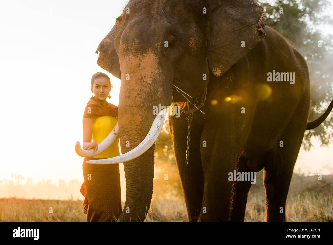 Facts About Elephant Girl at Lula Warren blog