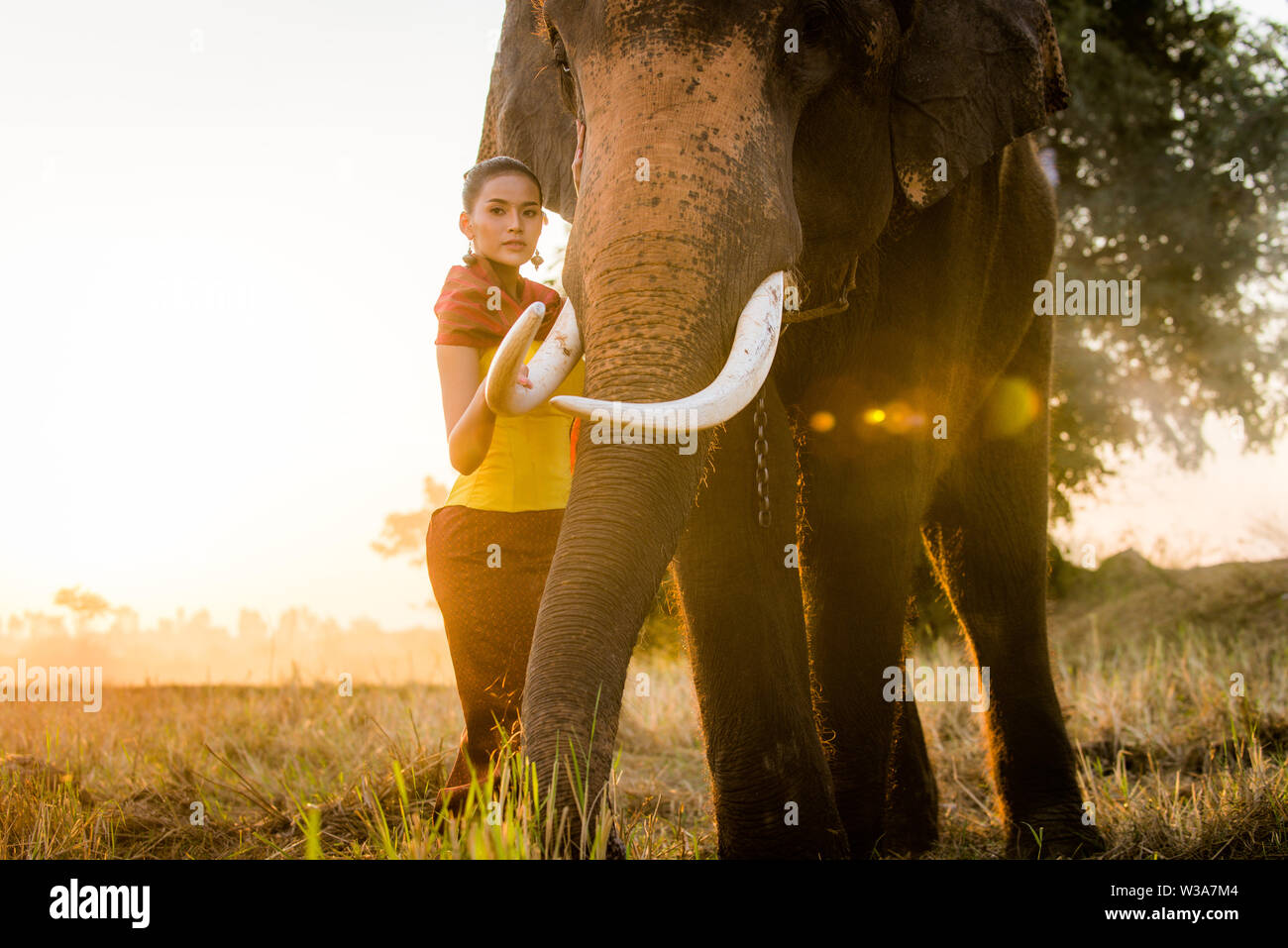 Elephant with beautiful girl in asian countryside, Thailand - Thai ...