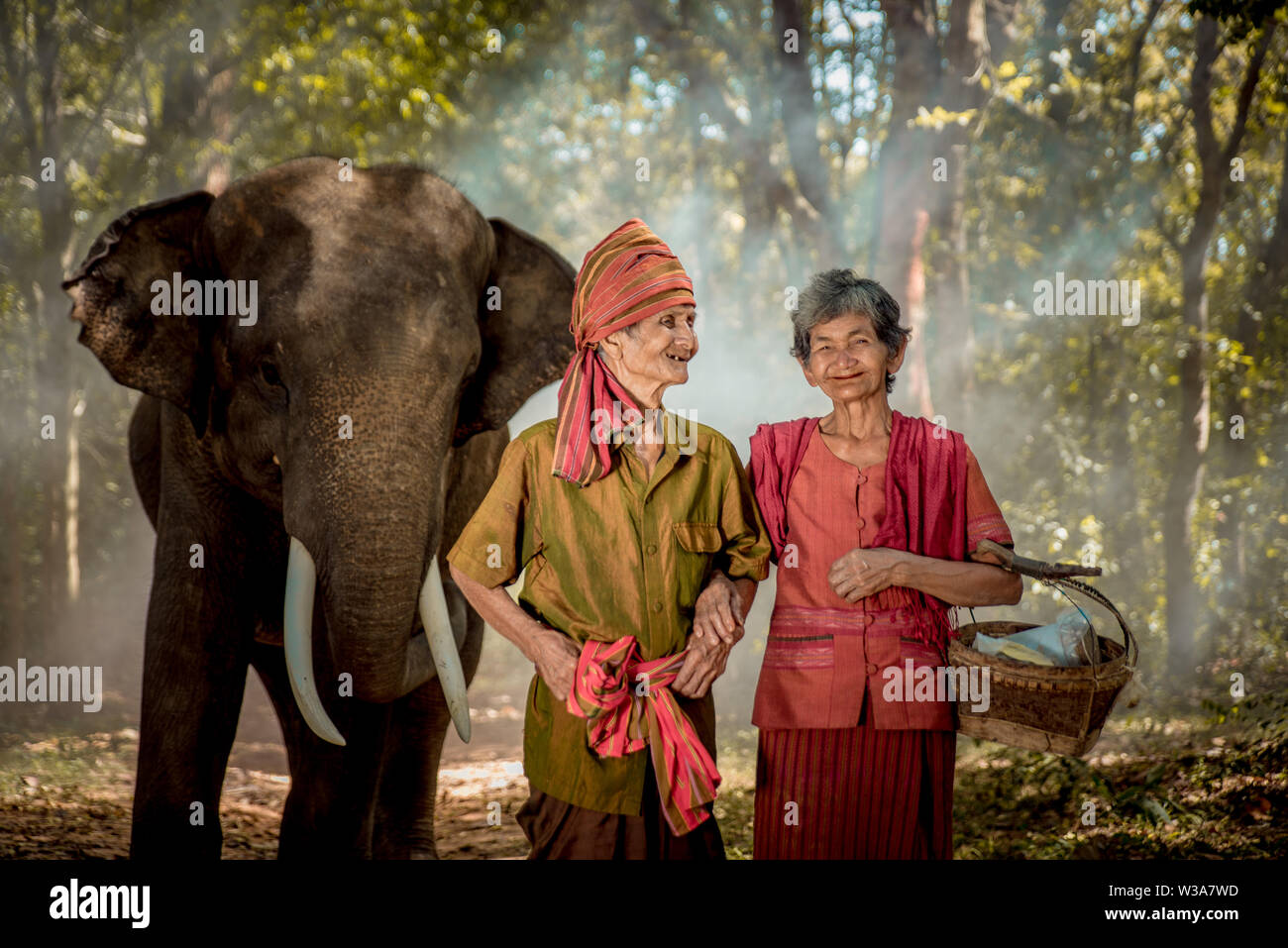Elephant and farmers in asian countryside in Thailand - Thai elephant ...