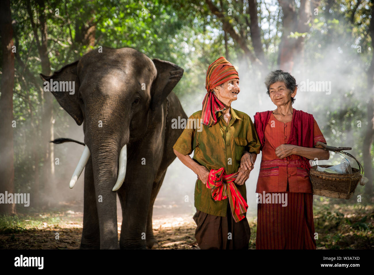 Elephant and farmers in asian countryside in Thailand - Thai elephant ...