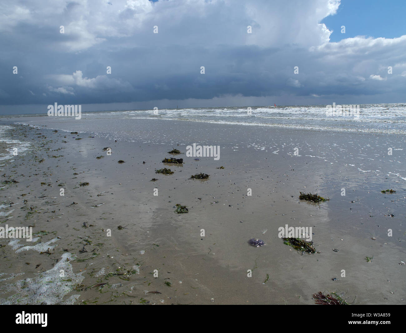 the beach of norderney Stock Photo - Alamy